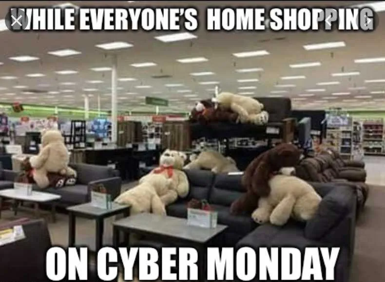 18 Cyber Monday Animal Memes Because They Want In On The Action