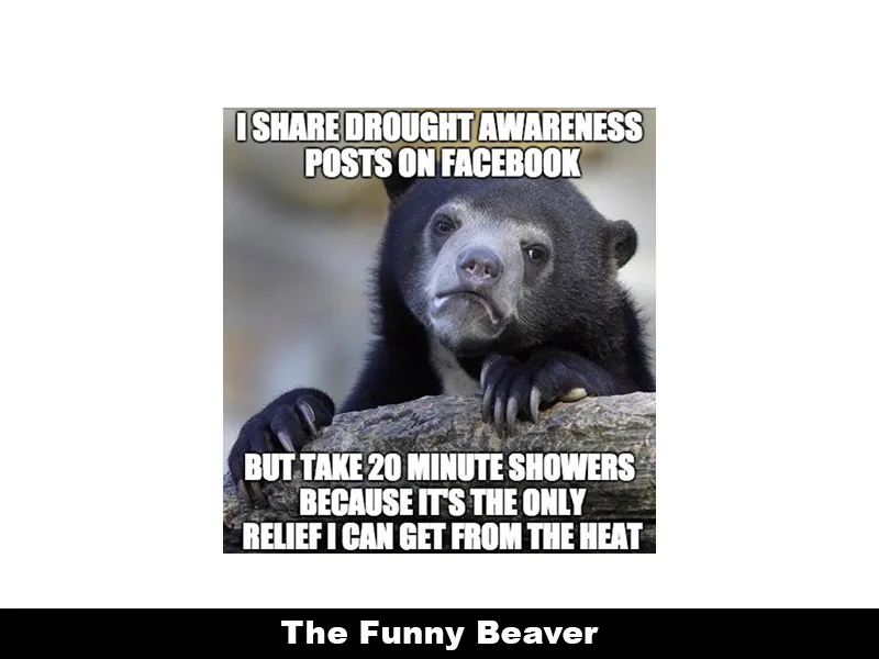 23 Funny Drought Memes That'll Water Your Crops