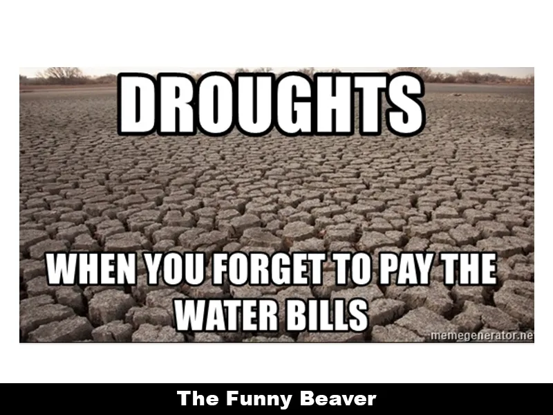 23 Funny Drought Memes That'll Water Your Crops