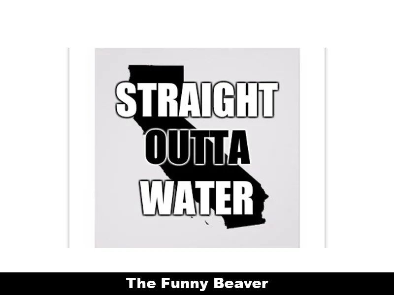 23 Funny Drought Memes That'll Water Your Crops