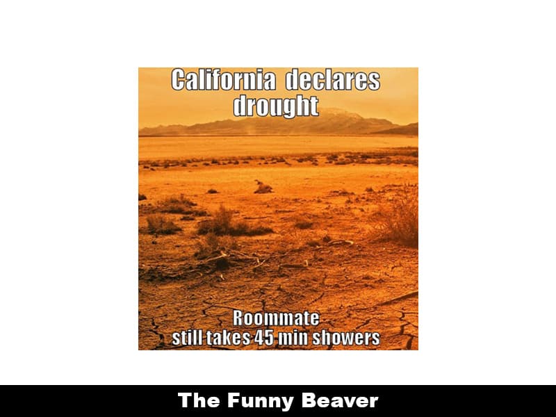 23 Funny Drought Memes That'll Water Your Crops