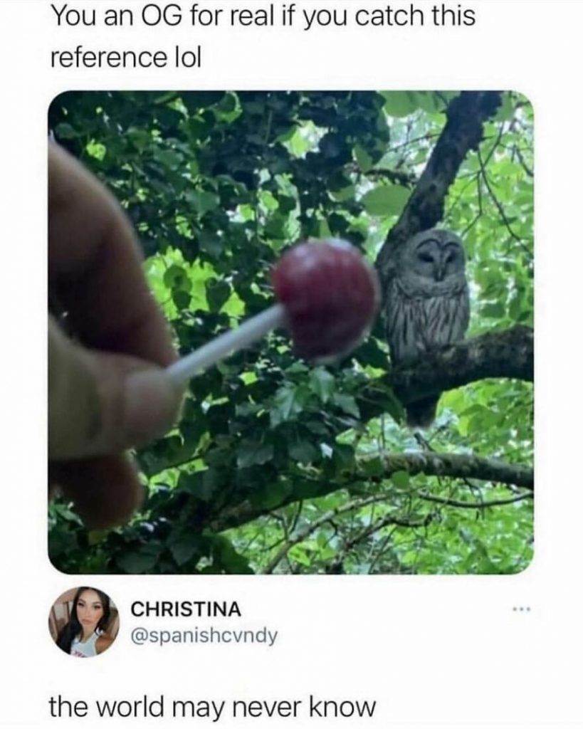 30 Delightful And Humorous Encounters Involving Animals