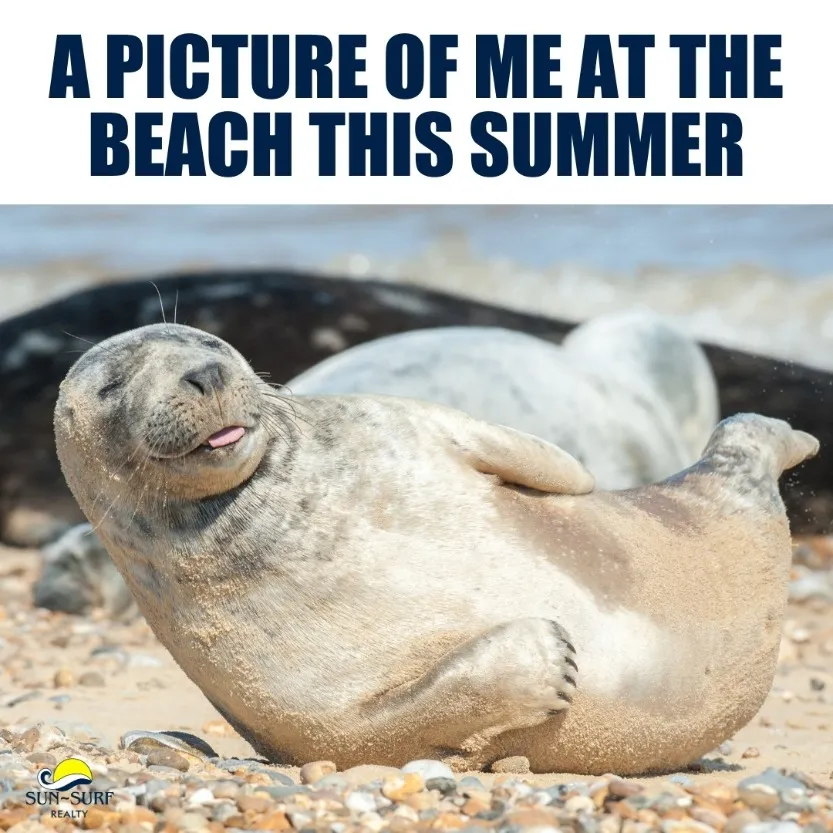 24 Funny Beach Memes Because It's That Time