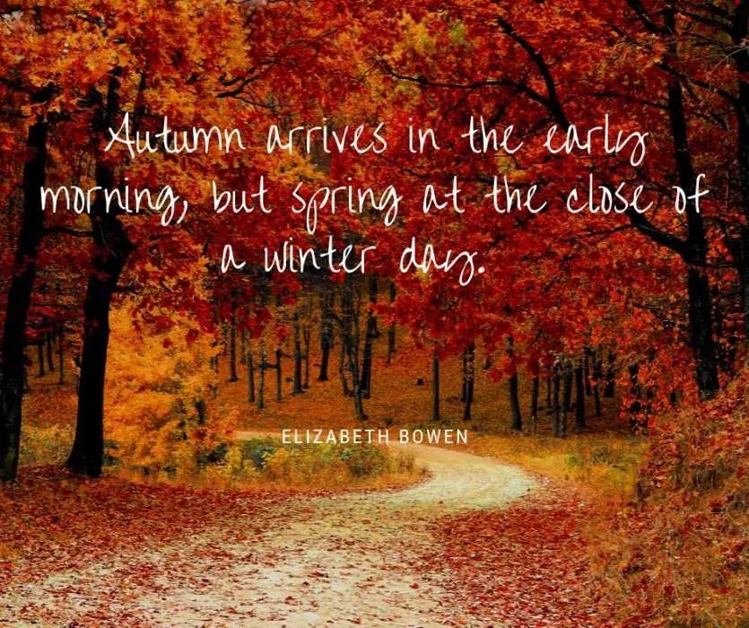15 Lovely Quotes For Fall Lovers