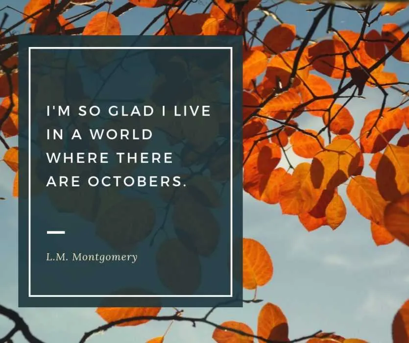 15 Lovely Quotes For Fall Lovers