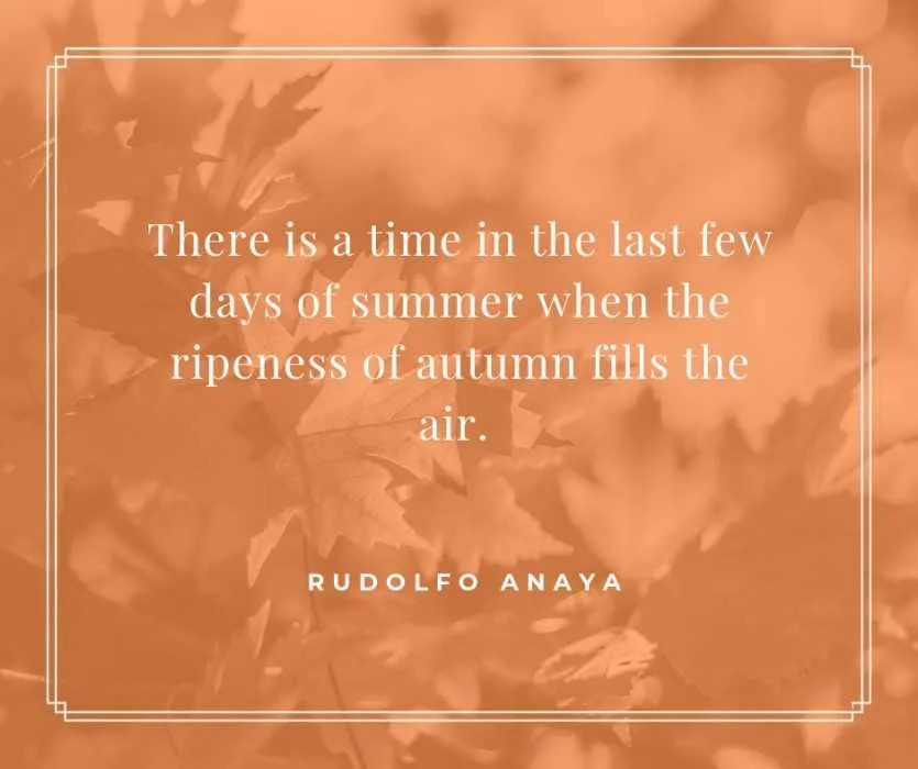 15 Lovely Quotes For Fall Lovers