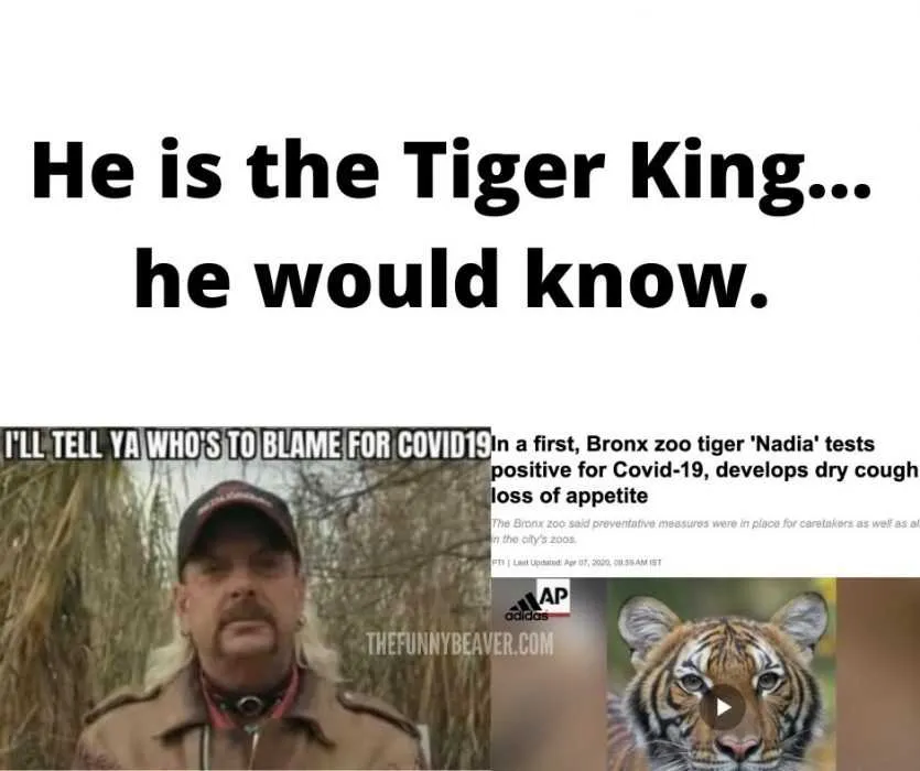Joe Exotic Memes #TigerKing #TigerKingMemes | The Funny Beaver