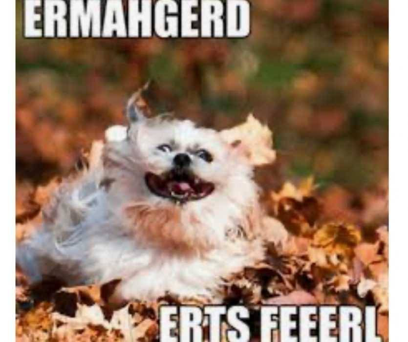 23 Autumn Equinox Memes You'll Fall In Love With