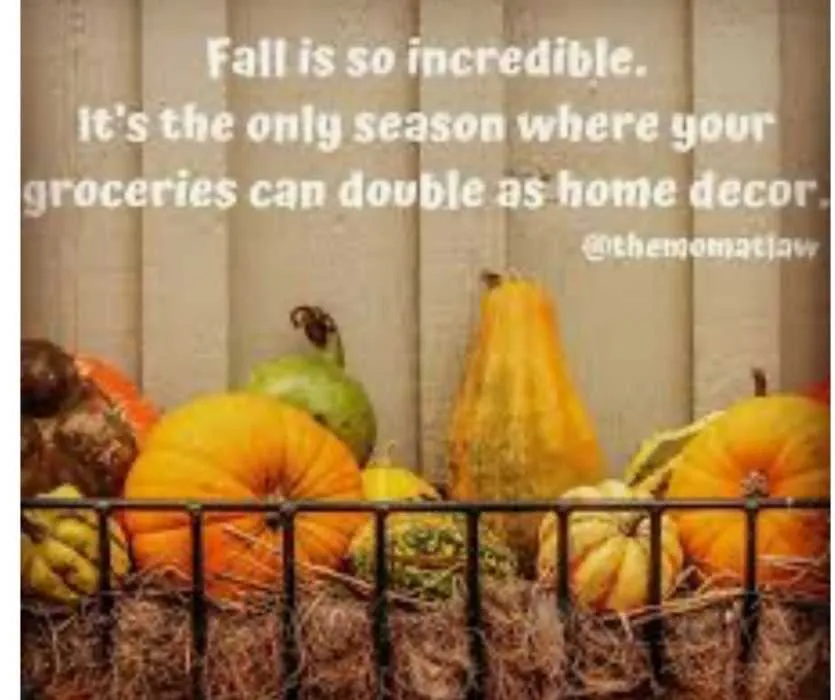 23 Autumn Equinox Memes You'll Fall In Love With