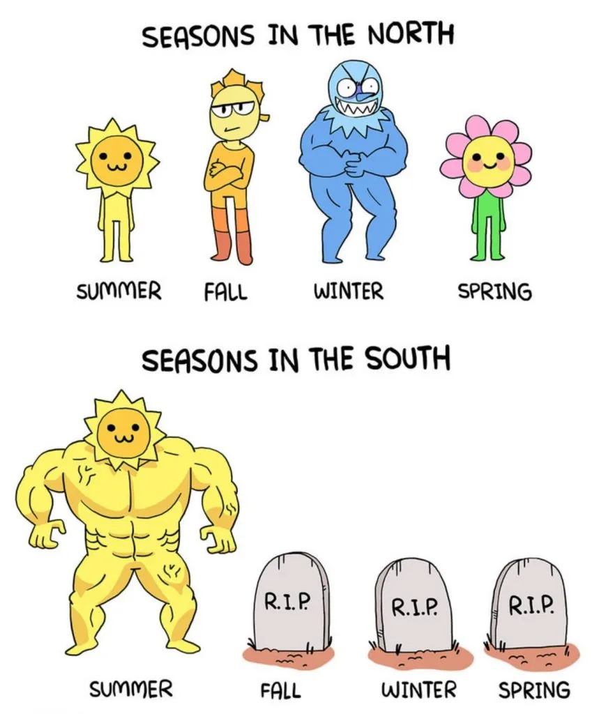 20 Summer Memes To Laugh At