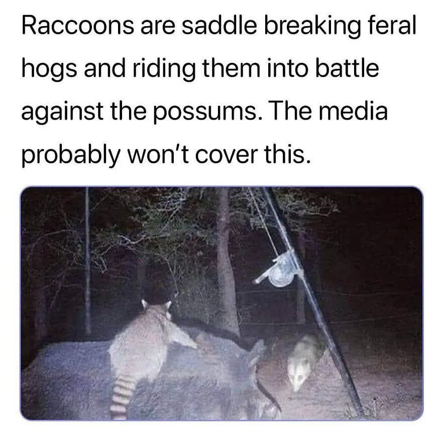 30 Delightful And Humorous Encounters Involving Animals