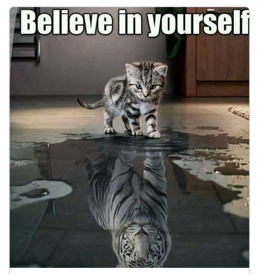 30 Amazing Memes About Pets And Animals