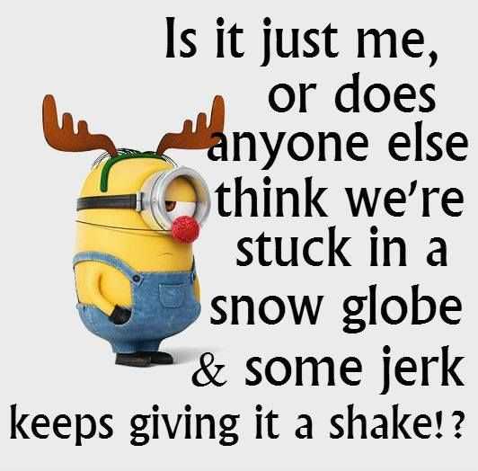 Cold Minion Quotes 40 Funny And Snarky Minion Quotes That Will Have