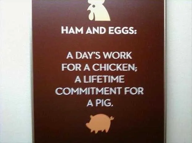 Daily Funny Pictures (4) | The Funny Beaver