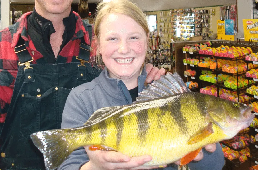 World Record Perch Caught By 12 Year Old - Pretty Impressive.