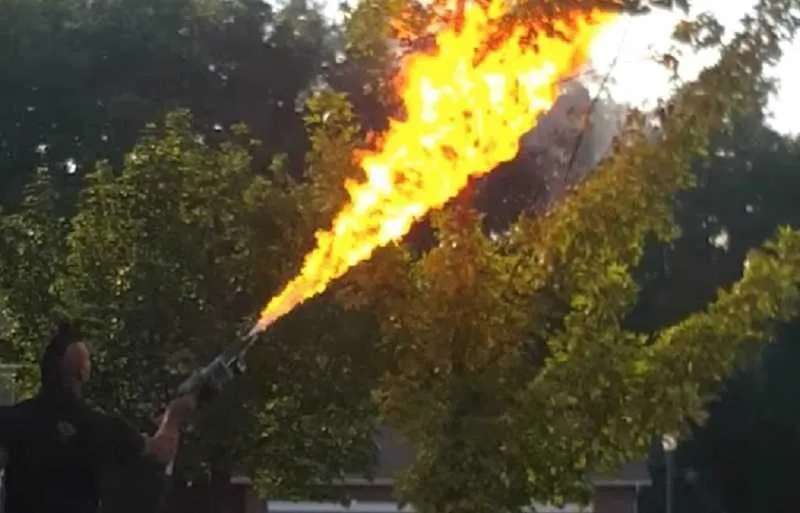 Man Uses A Flamethrower To Destroy A Huge Hornet's Nest