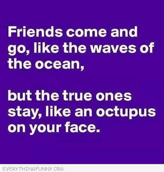 26 Funny Quotes To Save And Share