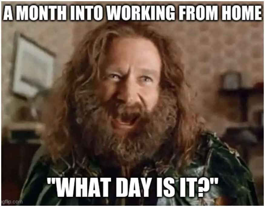 20 Hilarious Work From Home Memes We Can All Relate To