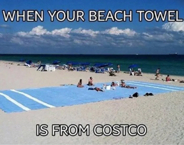 30 Great Summer Memes To Get Your Summer Going