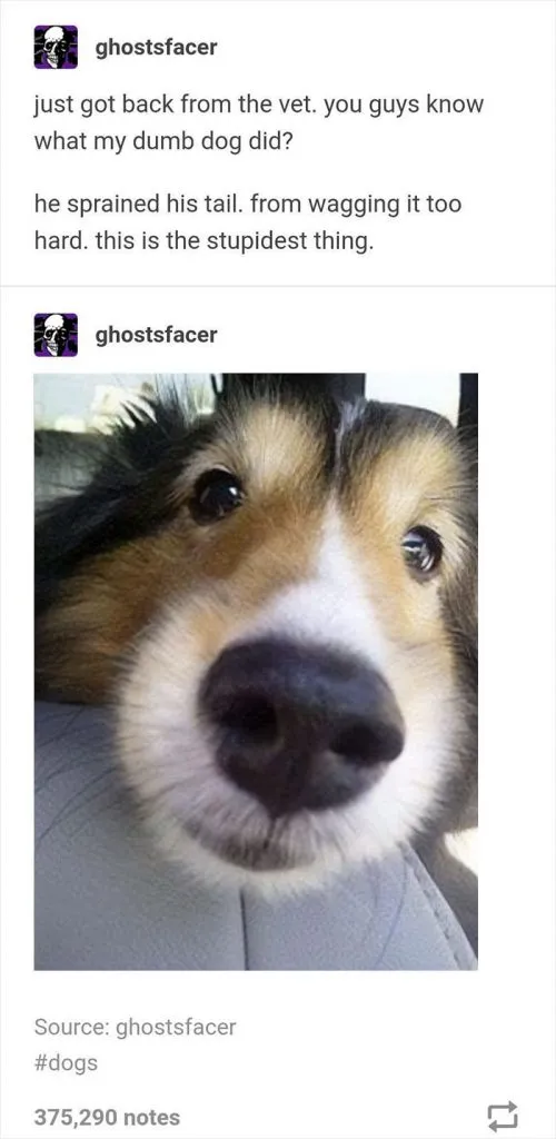 30 Heartwarming Wholesome Memes You Will Absolutely Love