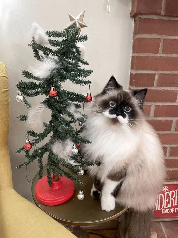 30 Adorable Times Pets Made Christmas