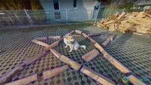 30 Hilarious And Absurd Moments Caught By Google Maps