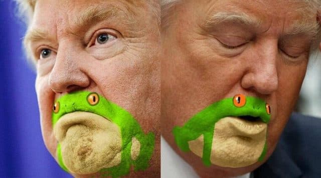 16 Funny Trump Photos That Will Leave You Crying Of Laughter