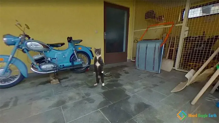 30 Hilarious And Absurd Moments Caught By Google Maps