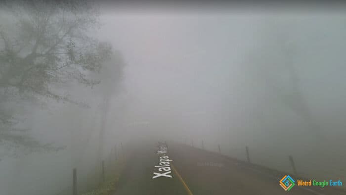 30 Hilarious And Absurd Moments Caught By Google Maps