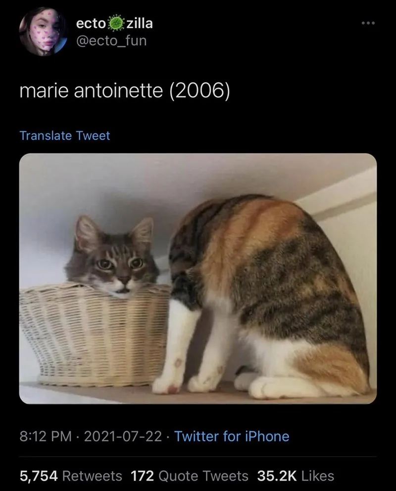 32 Silly Twitter Jokes That Will Absolutely Crack You Up